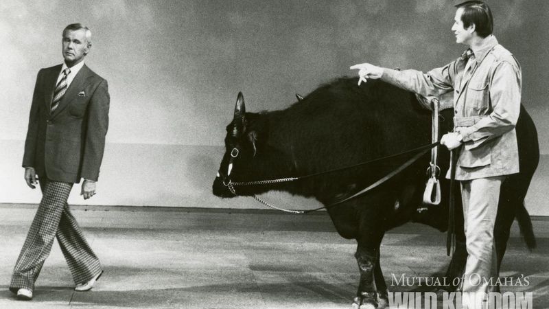 Jim Fowler of TV's 'Wild Kingdom' Dead at 89 - Puget Sound Radio